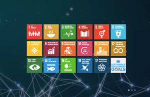 SDG Business Hub - Business and Human Rights Gateway