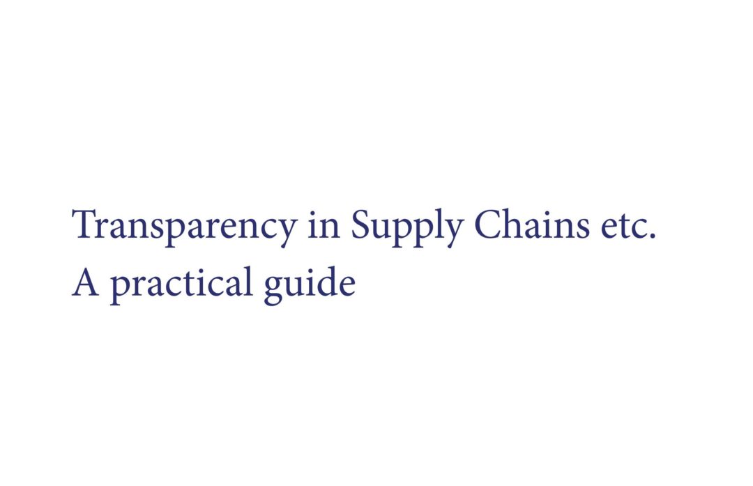 Transparency in Supply Chains - Business and Human Rights Gateway