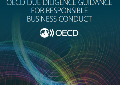 OECD Due Diligence Guidance for Meaningful Stakeholder Engagement in ...